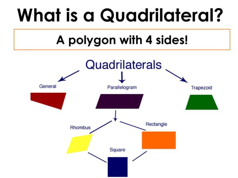 How to make maths working model of class 8 on quadrilateral How to make maths working model of class 8 on quadrilateral
